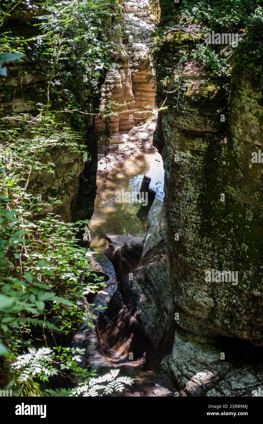 Narrow rocky gorge surrounded by lush greenery bathed in sunlight ...