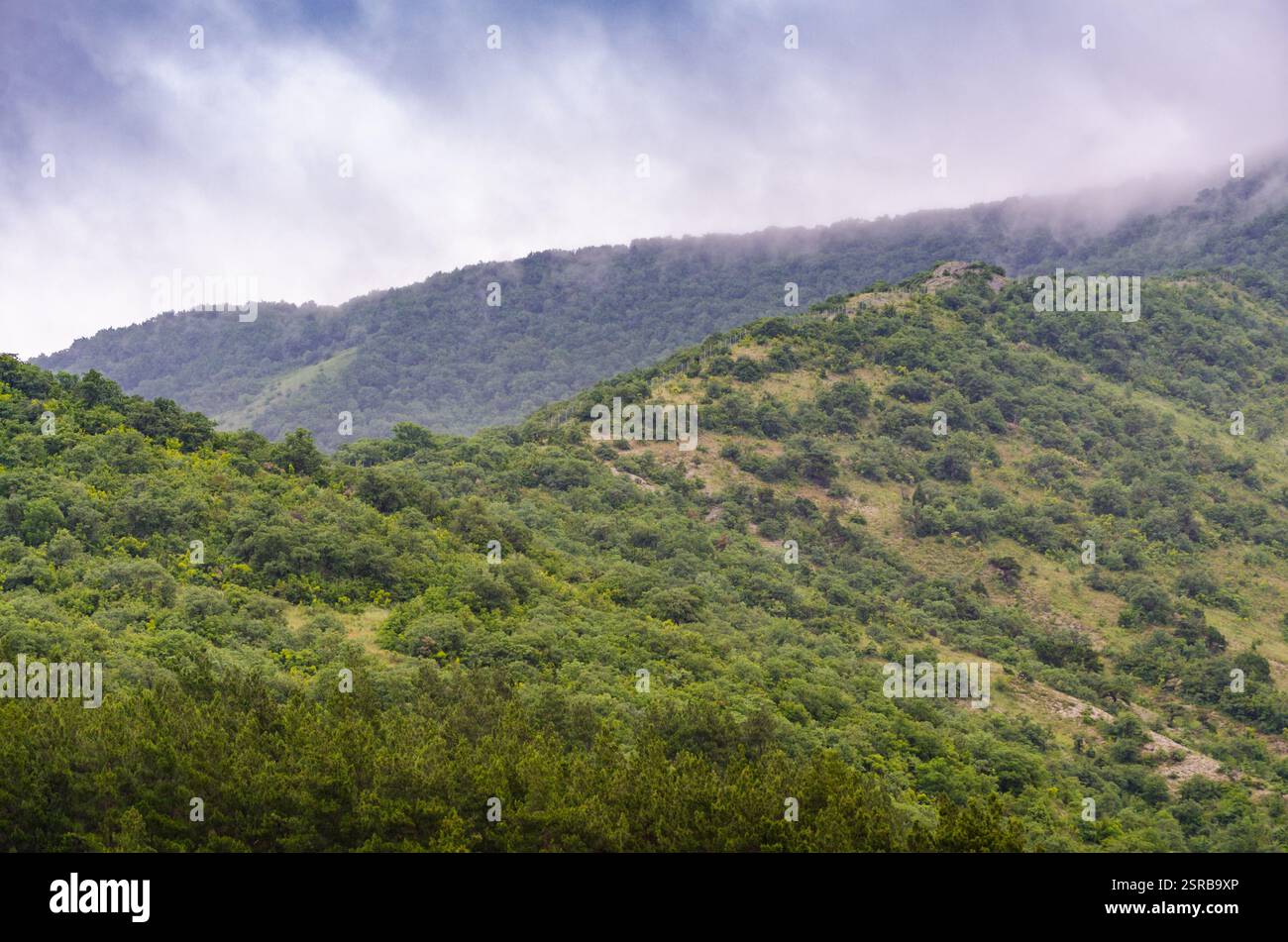Lush green hills stretch across landscape with dense foliage under ...