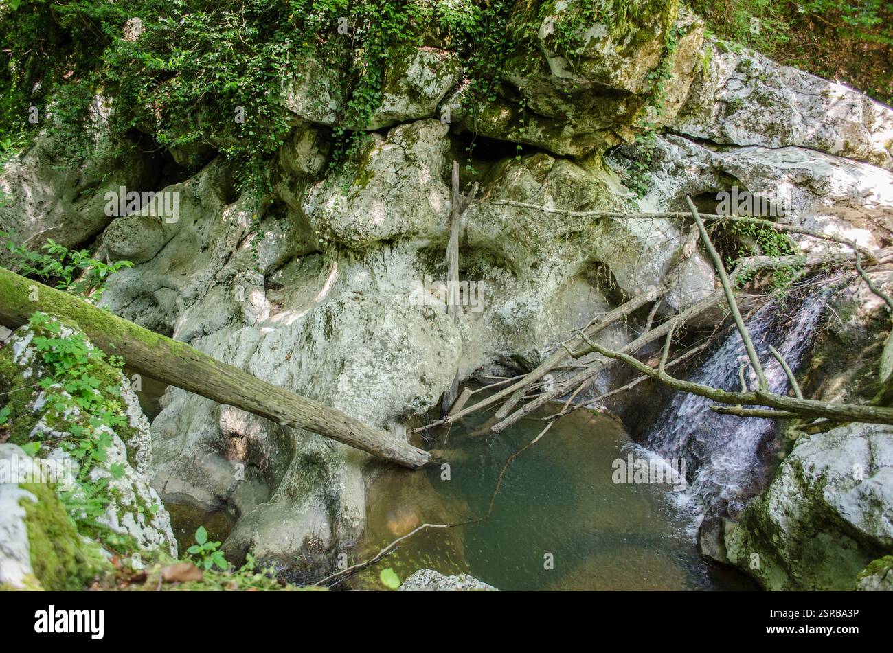 Gentle waterfall cascades over rugged rocks in lush forest. Branches ...