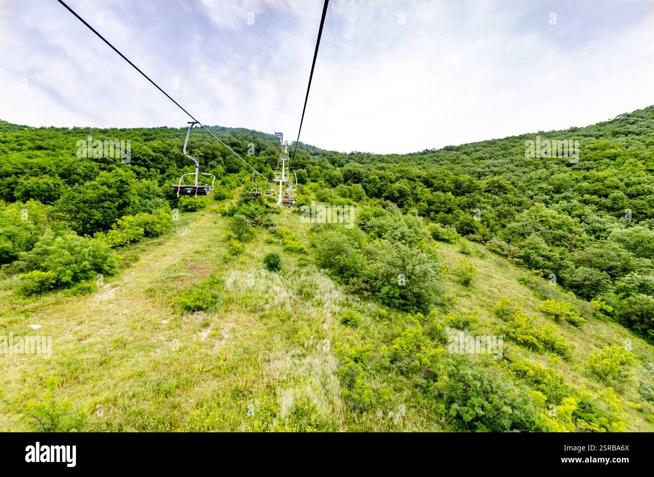 Cable car ascending over lush green forest with mountain backdrop ...