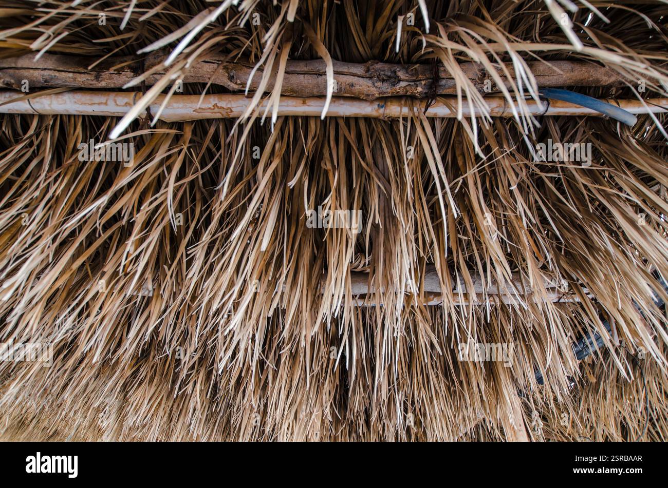 Image captures detailed view of rustic thatch roof, showcasing natural ...