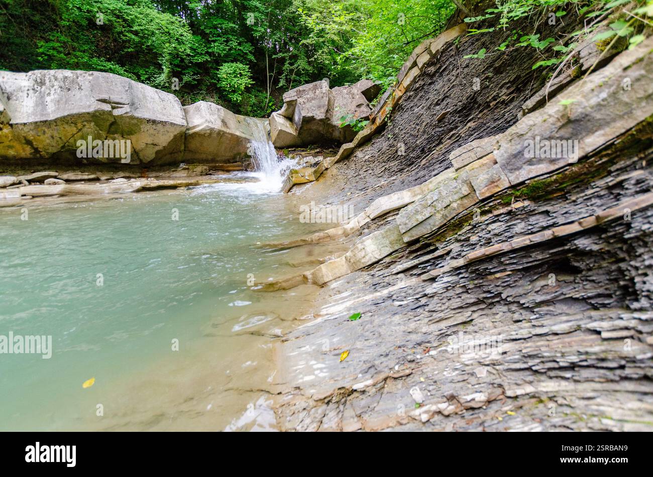 Clear stream flows through rocky terrain amidst dense green forest ...