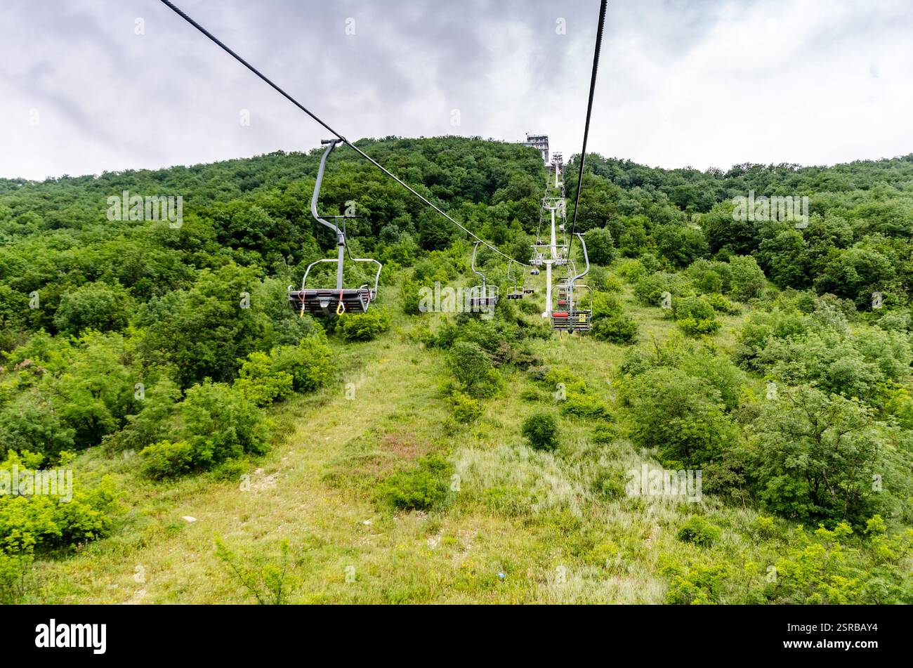 Cable car ascending over lush green forest with mountain backdrop ...