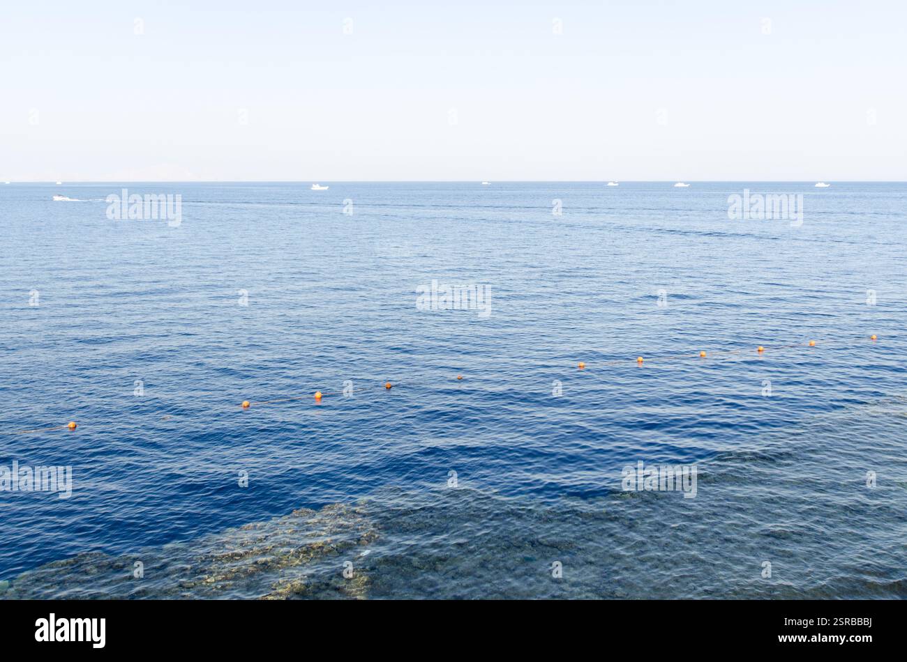 Calm ocean stretches far under soft sunlight. Horizon barely visible ...