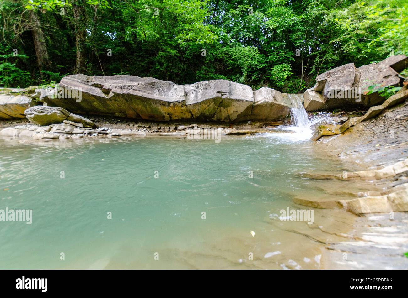 Clear stream flows through rocky terrain amidst dense green forest ...