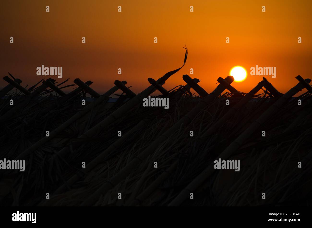 Overlapping thatch roofs create striking silhouettes against vibrant ...