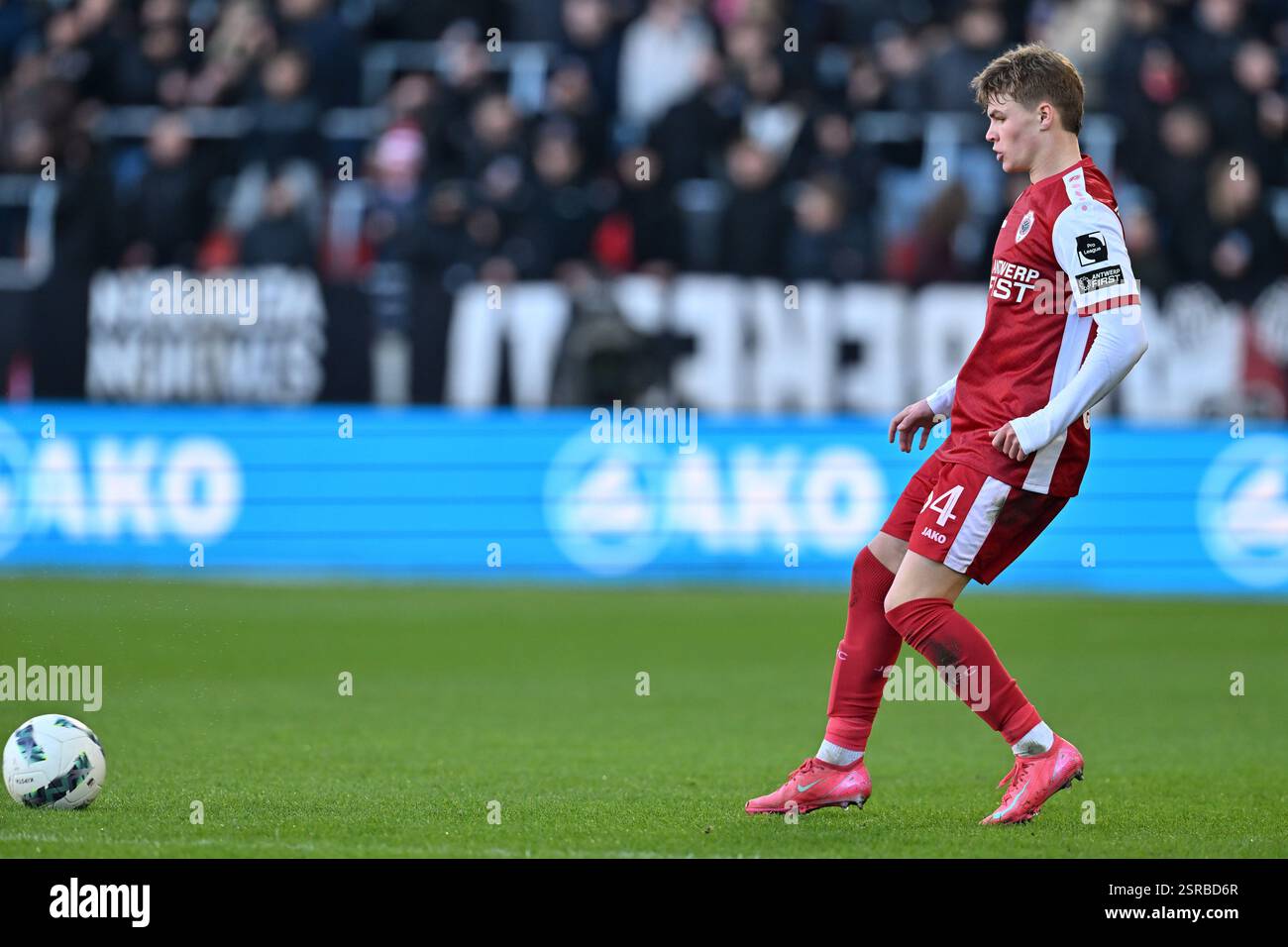 Antwerpen, Belgium. 02nd Feb, 2025. Semm Renders (54) of Antwerp ...
