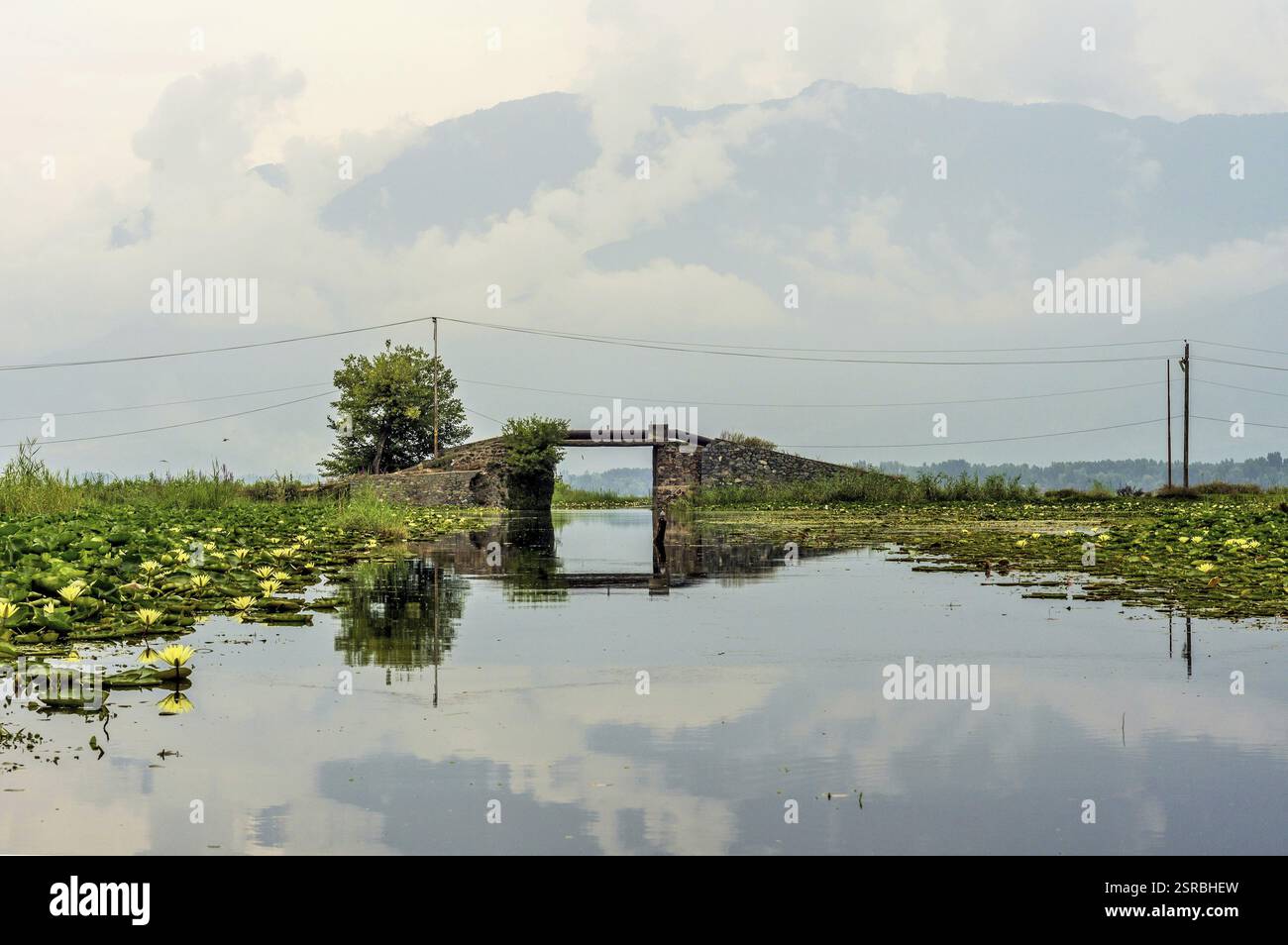 Bridge on Dal Lake, Srinagar, Kashmir, India, Asia Stock Photo - Alamy