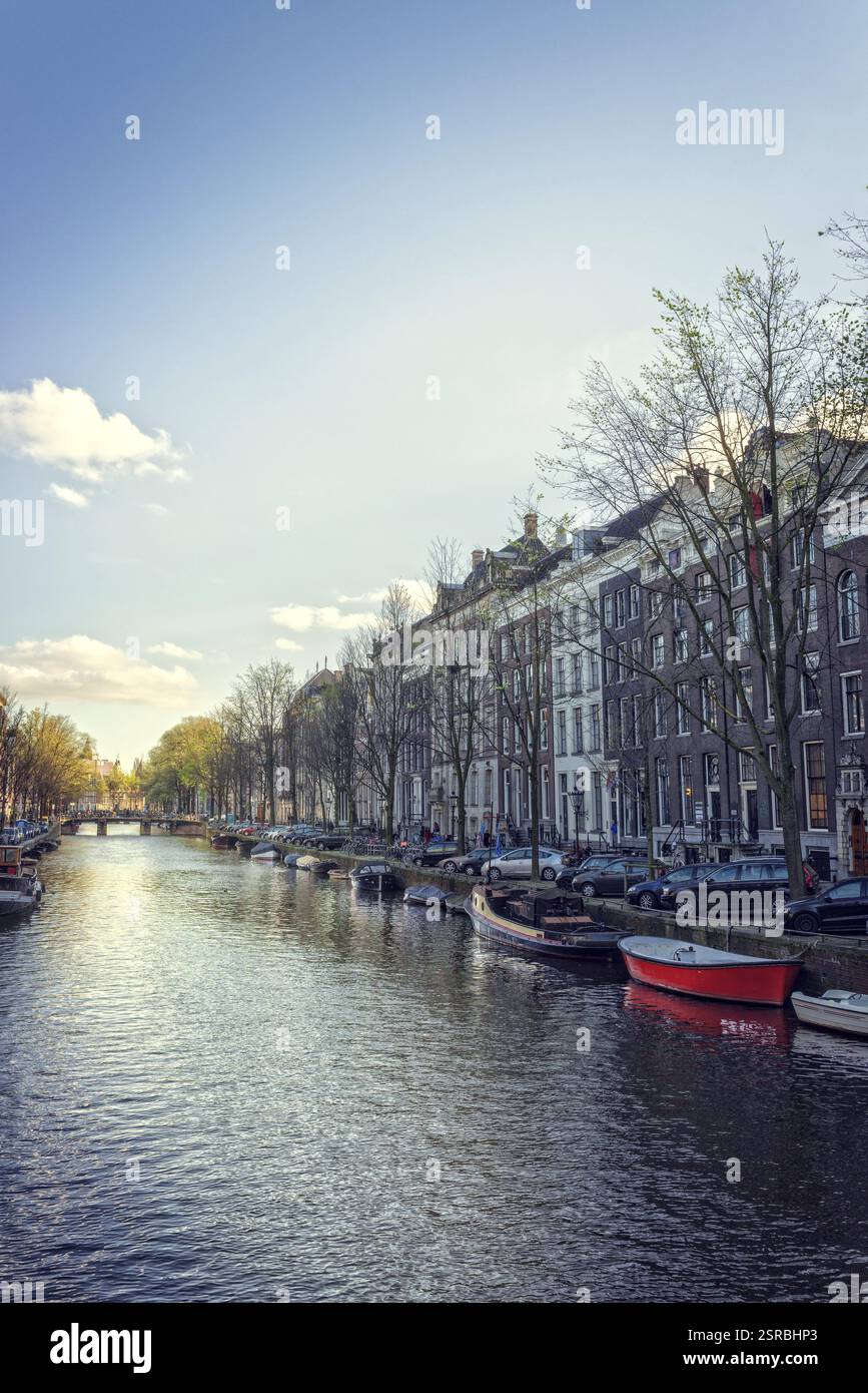 Spring evening in amsterdam Stock Photo - Alamy