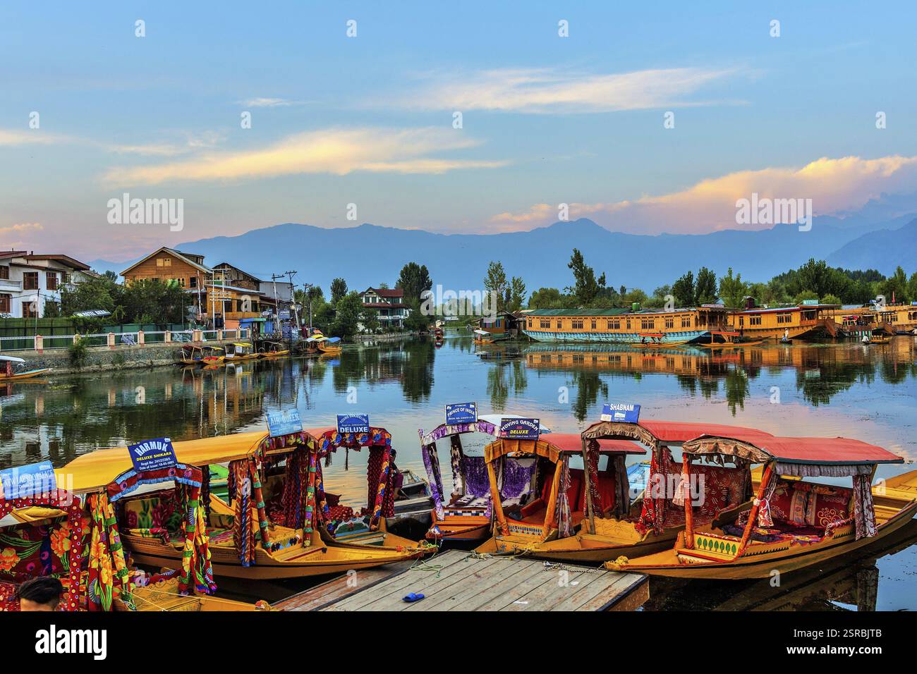 Houseboats and shikaras, Dal Lake, Srinagar, Kashmir, India, Asia Stock ...