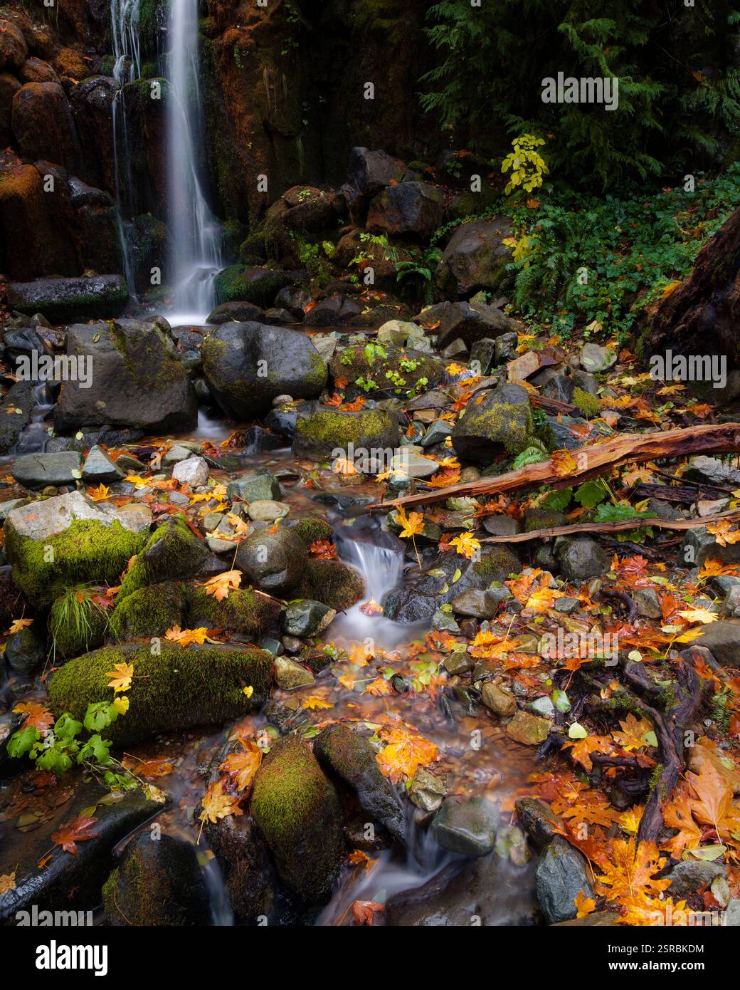 Autumn leaves and moss-covered rocks surround a peaceful waterfall at ...