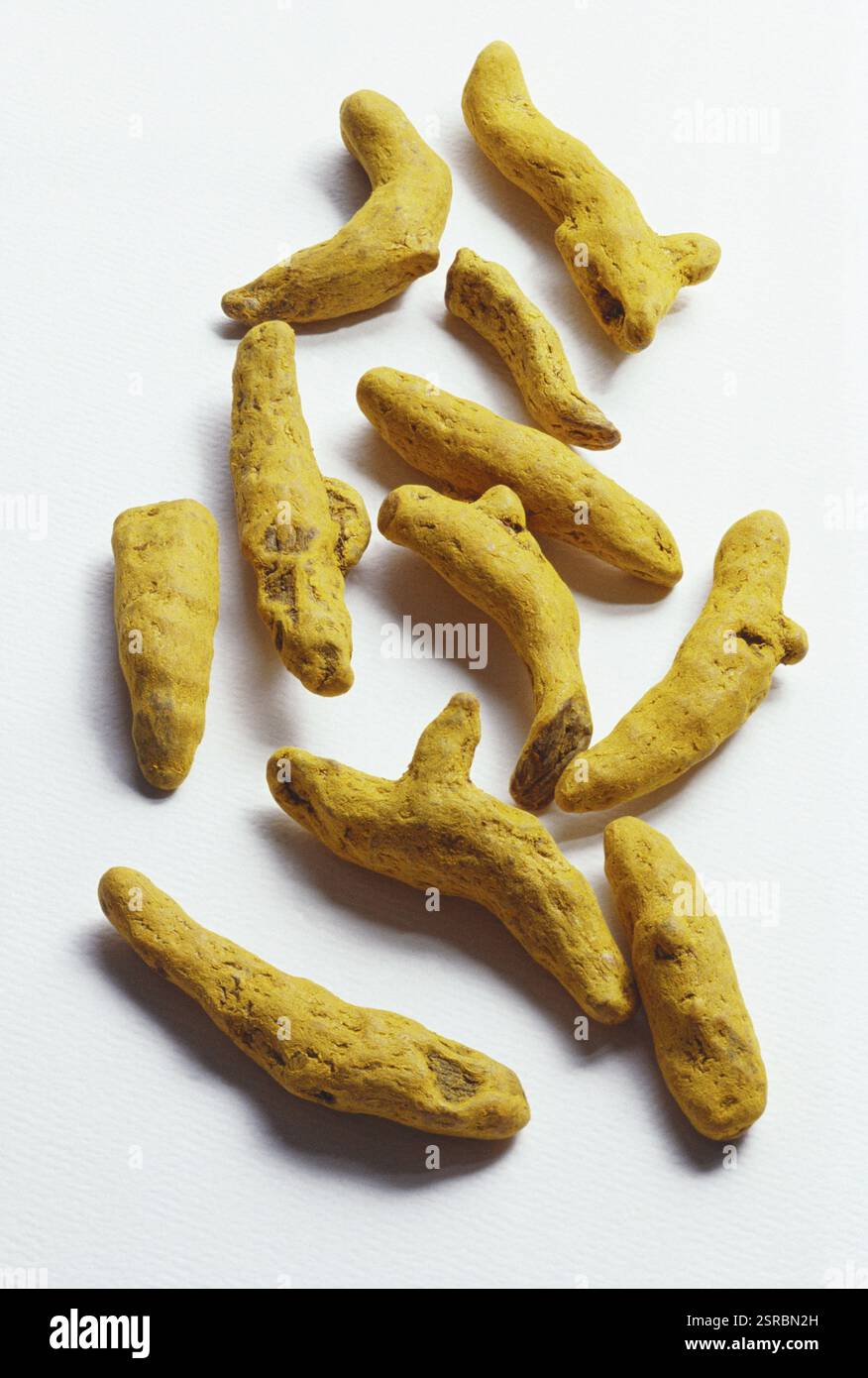 Indian spices, haldi or turmeric bulbs curcuma longa on white ...