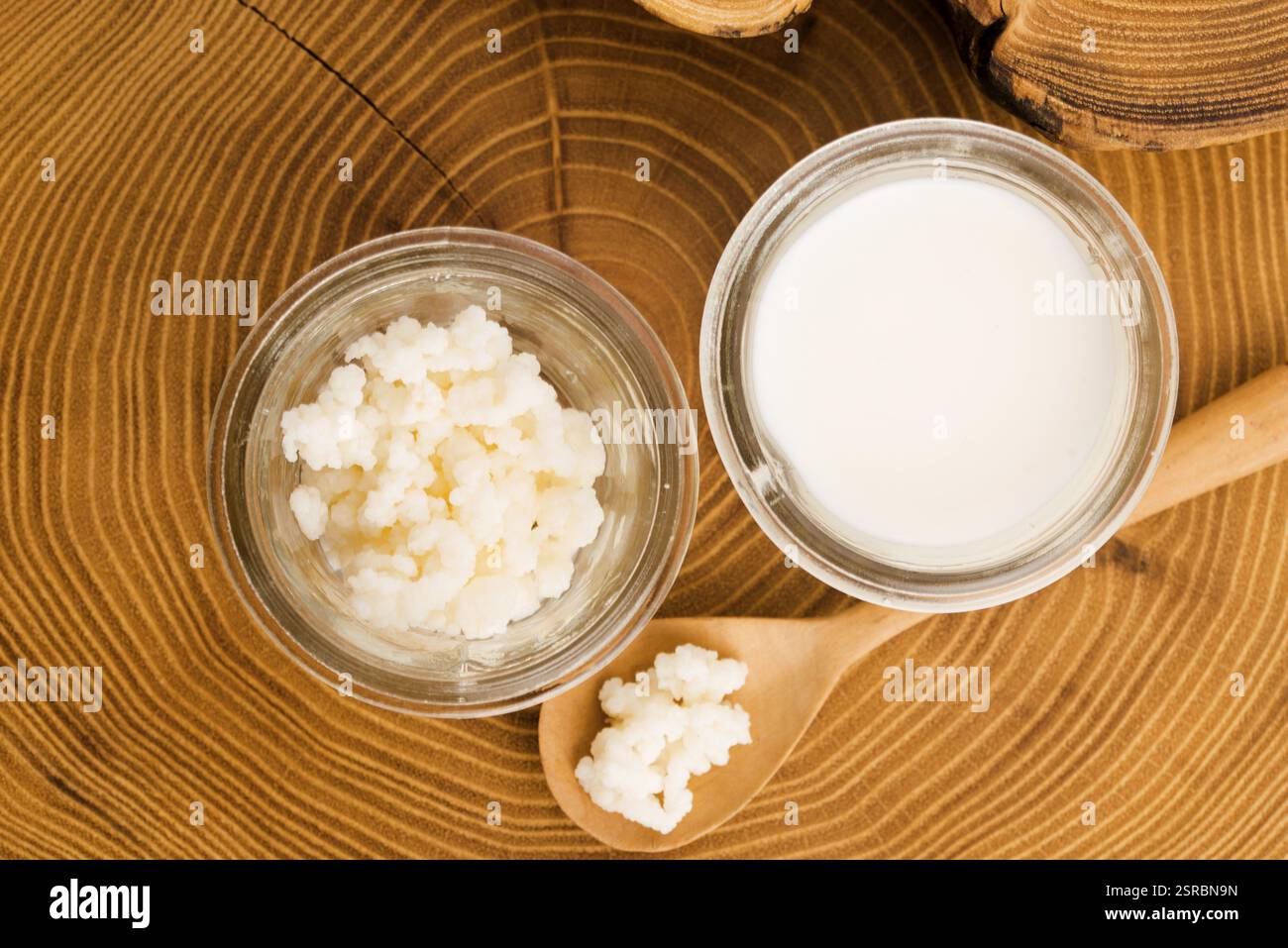 Organic probiotic milk kefir grains Stock Photo - Alamy