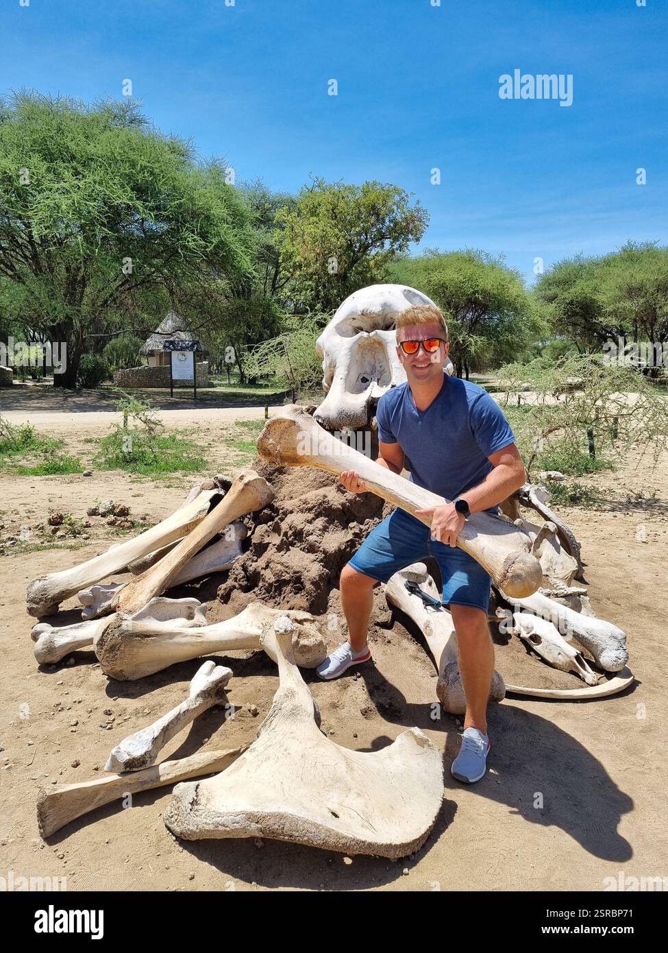 A person is standing and posing proudly with large fossilized bones set ...