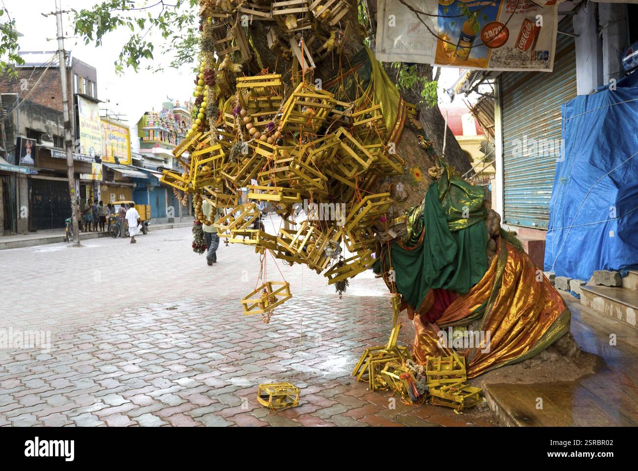 Wooden Cradles on sacred tree in front of Meenakshi temple, Madurai ...