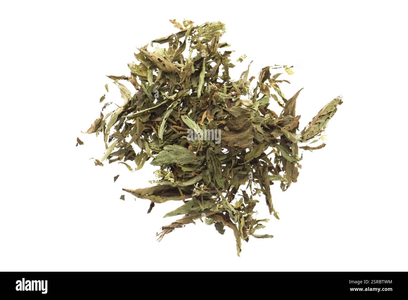 Dried Stevia Rebaudiana - natural sweetener isolated on white Stock ...