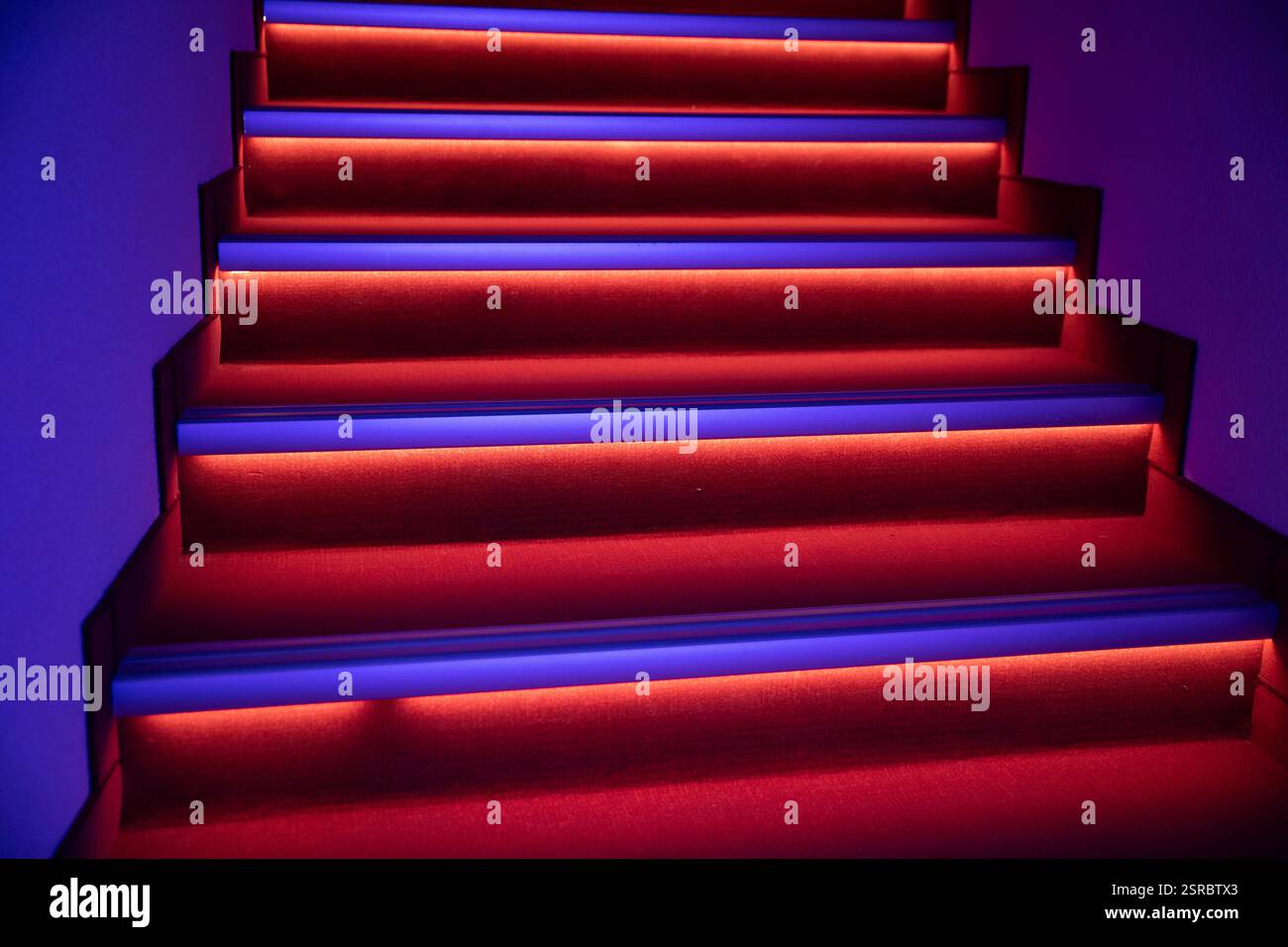 Vibrant LED Light Steps Featuring Stunning Red and Blue Illumination ...