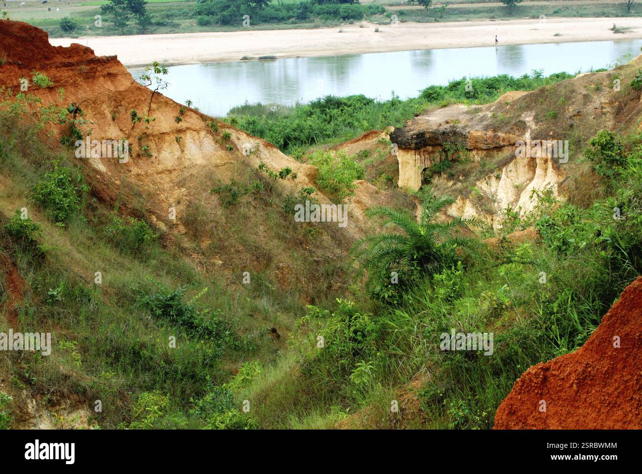 Eroded river bank shows coloration of red soil, Medinipur, West Bengal ...