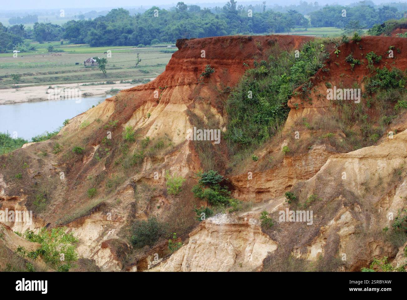 Eroded river bank shows coloration of red soil, Medinipur, West Bengal ...