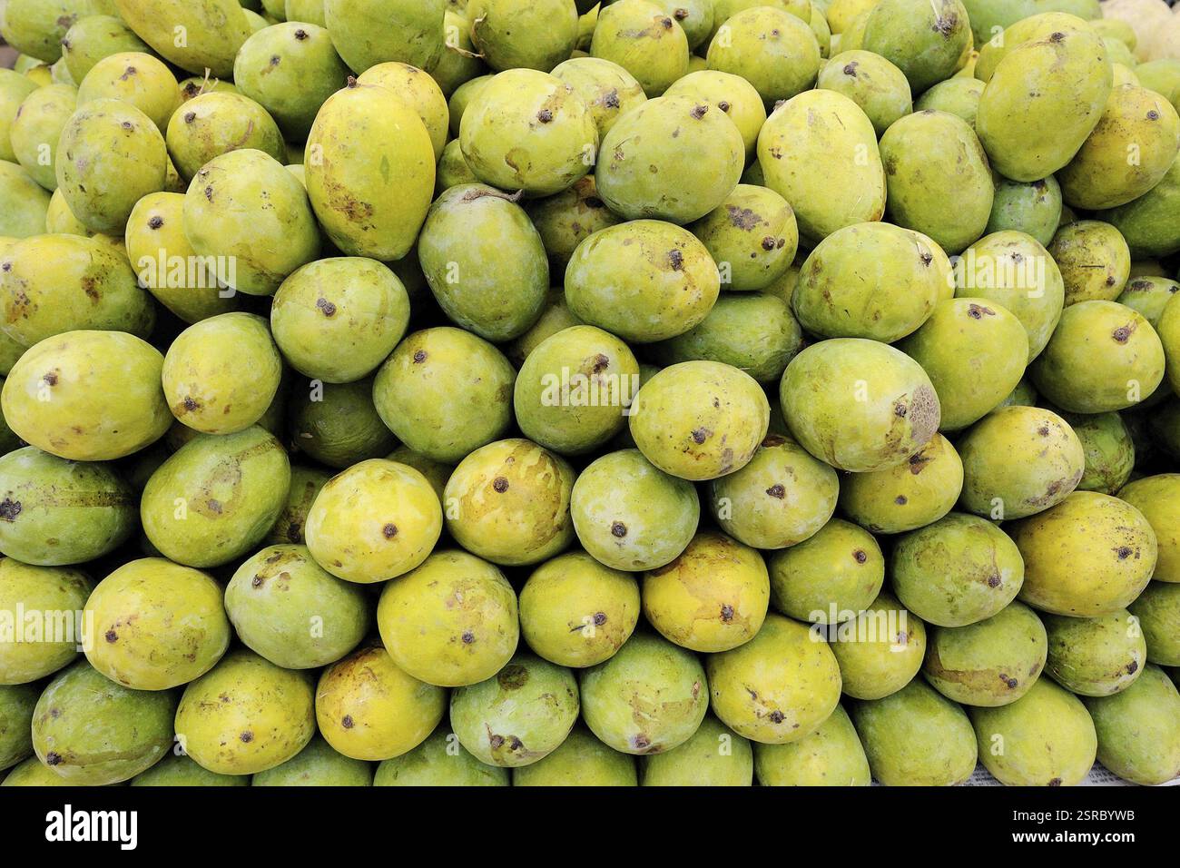 Fruits, mango, India, Asia Stock Photo - Alamy