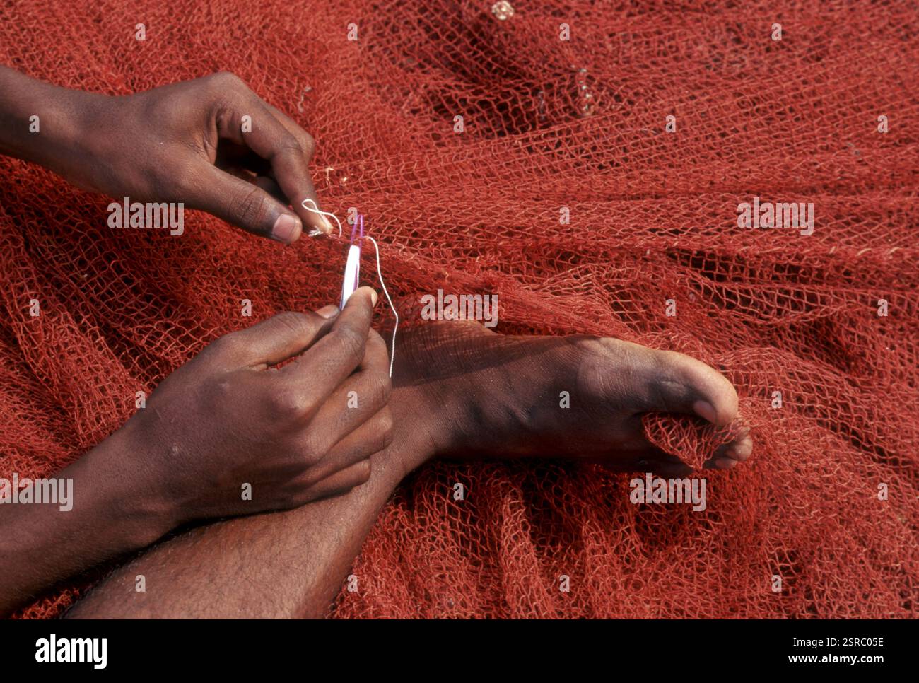 Hand weaving fishing net at Ratnagiri, Maharashtra, India, Asia Stock ...