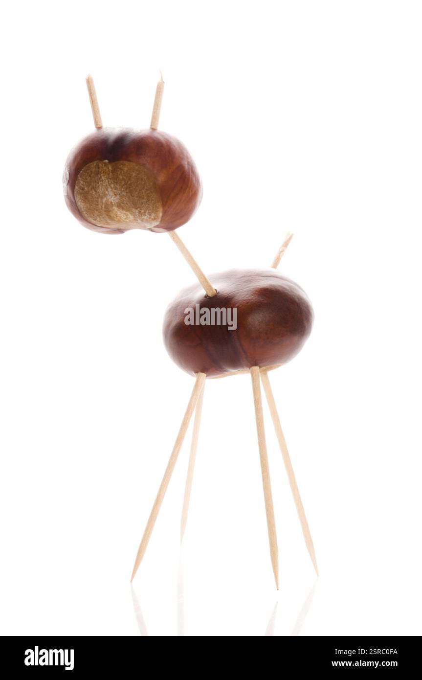 Chestnut toy hi-res stock photography and images - Alamy