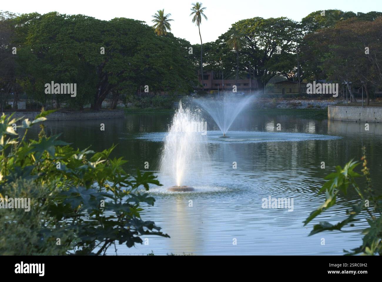 Fountain in ulsoor lake at bangalore, Karnataka, India, Asia Stock ...