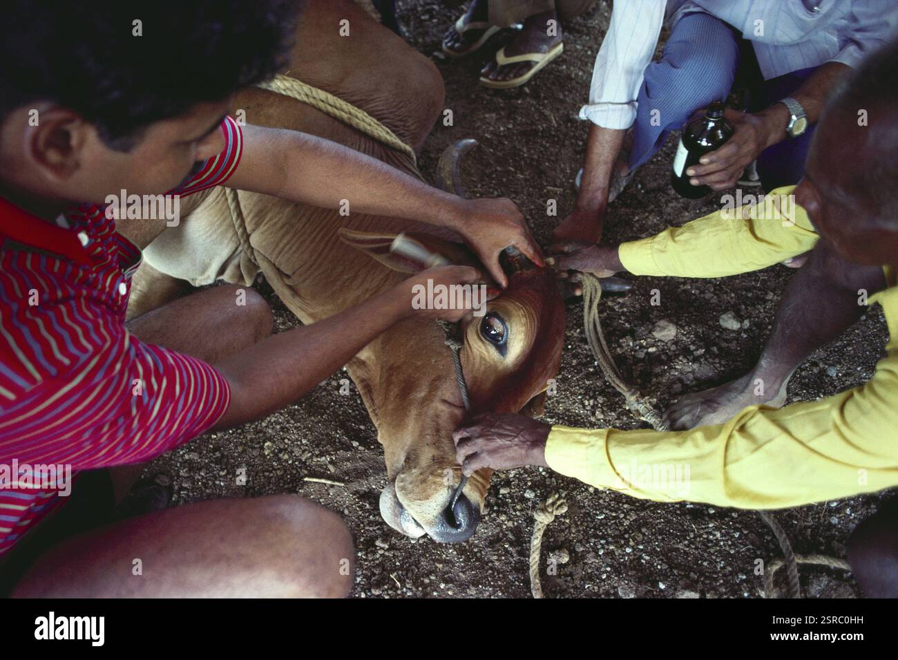 India surgery hi-res stock photography and images - Alamy