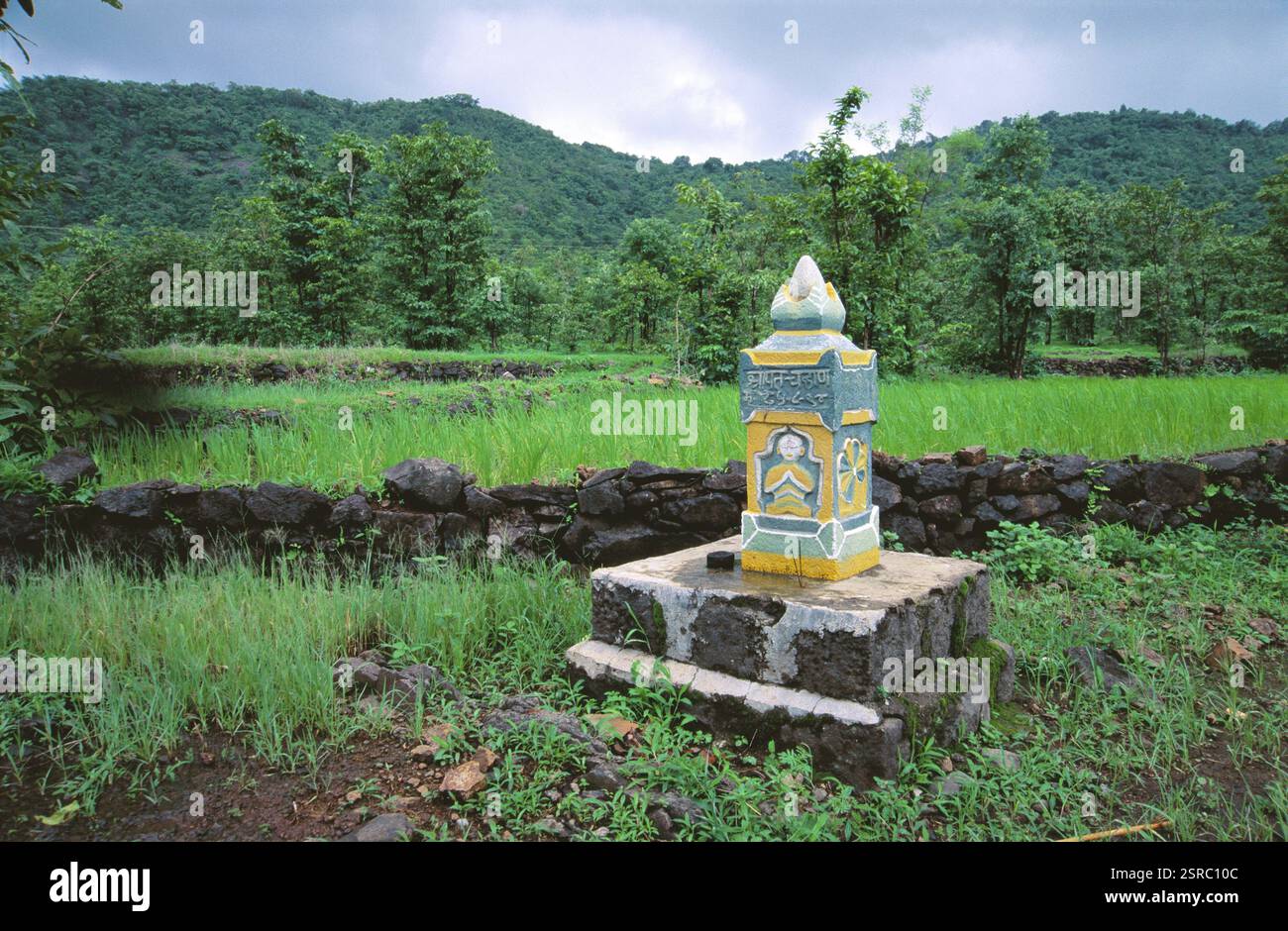 Temple in rice field, Mahad, Maharashtra, India, Asia Stock Photo - Alamy