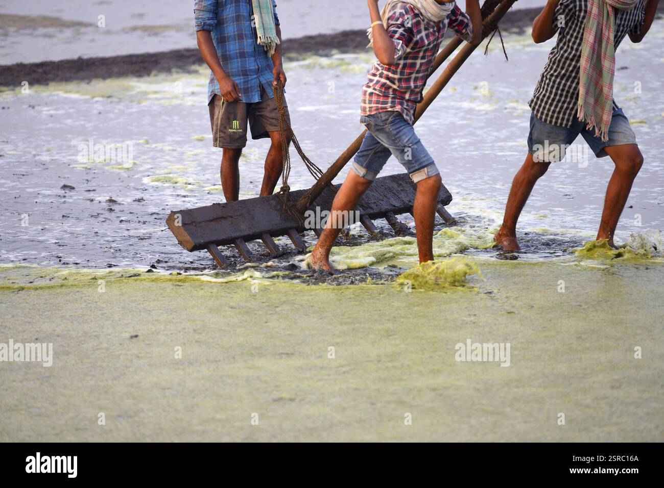 Men working in salt pans, Wadala, Mumbai, Maharashtra, India, Asia ...