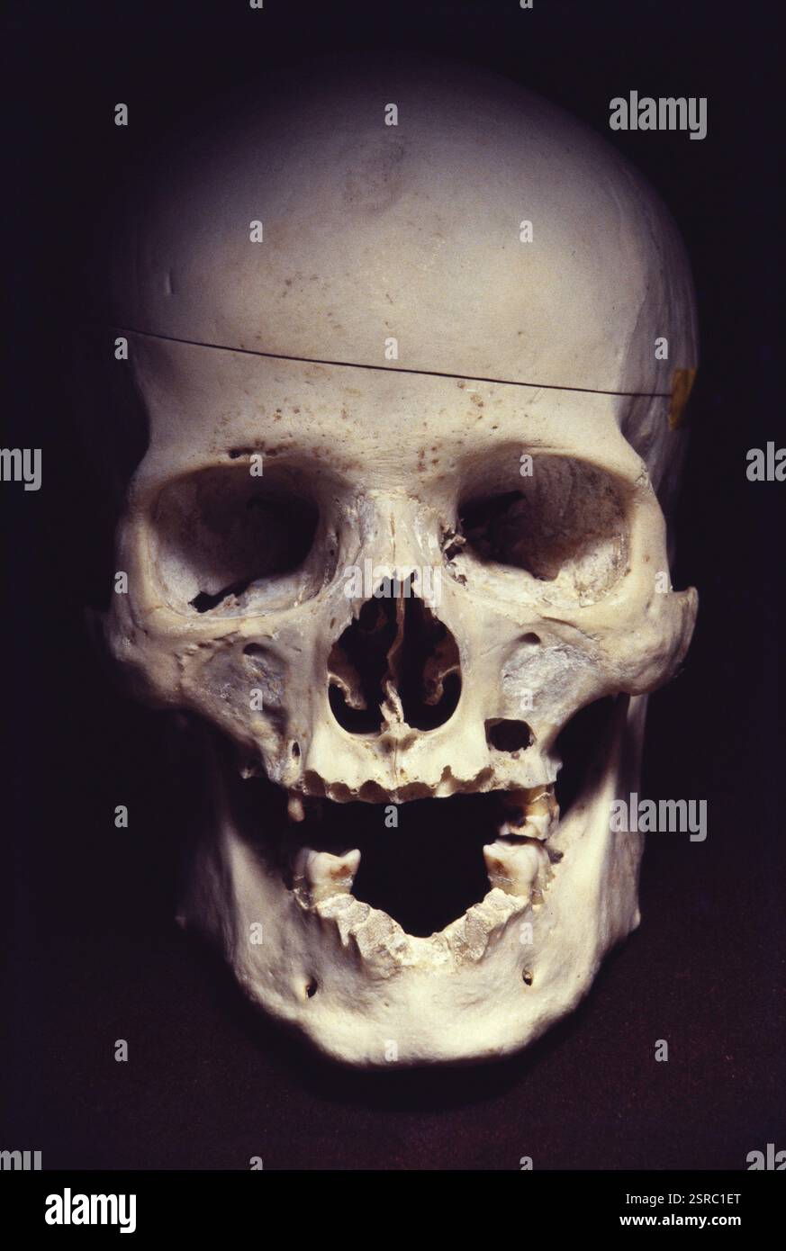 Skull dead man hi-res stock photography and images - Alamy
