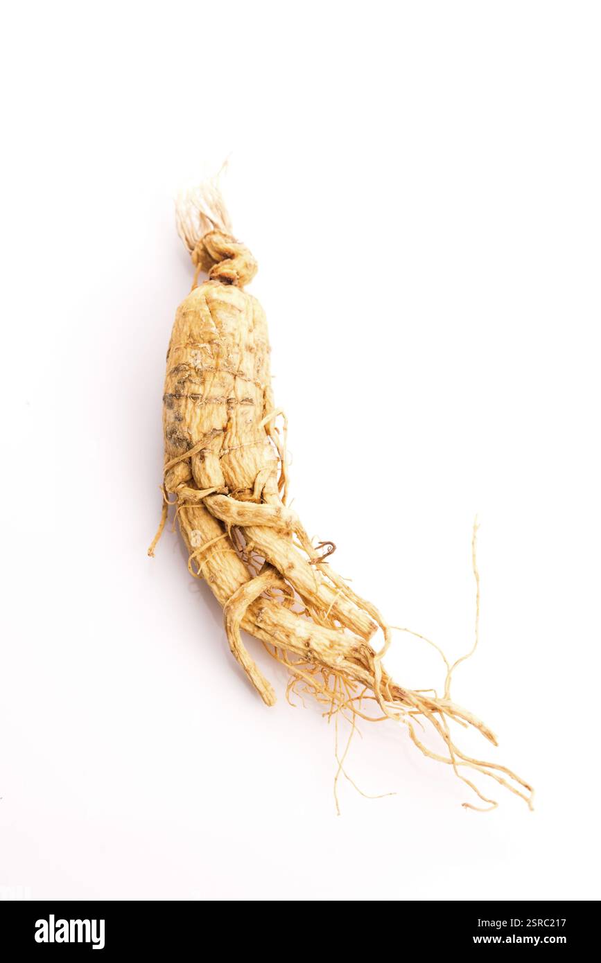 Extract of ginseng root Stock Photo - Alamy