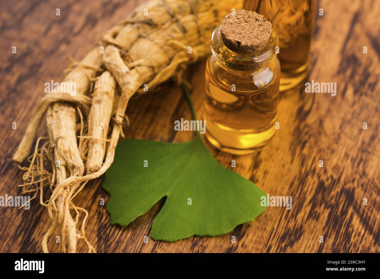 Extract of ginseng root and ginkgo biloba leaves Stock Photo - Alamy