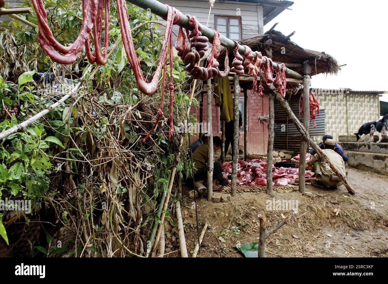 Indian butcher shop hi-res stock photography and images - Alamy