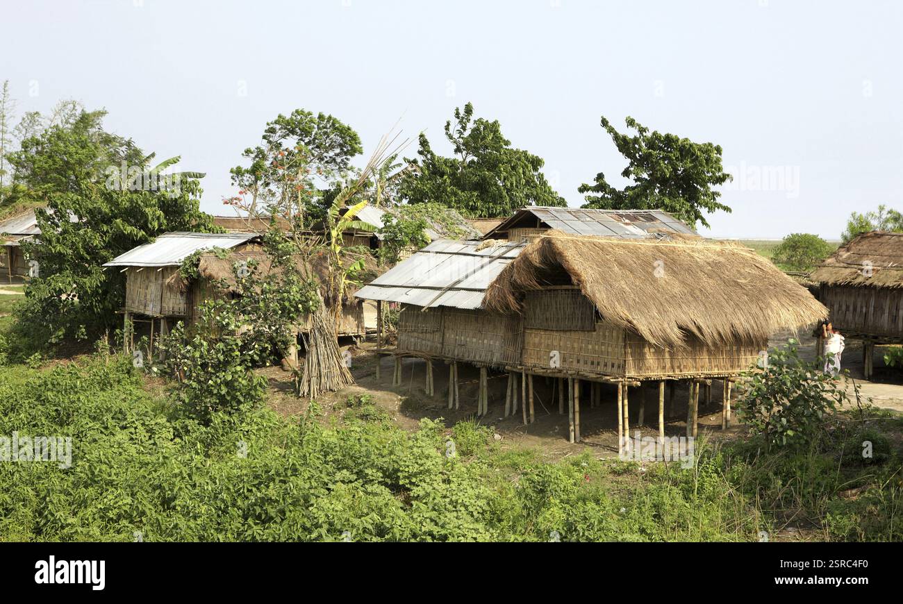 Bamboo houses at kamalabari, Majuli Island, Assam, India, Asia Stock Photo - Alamy