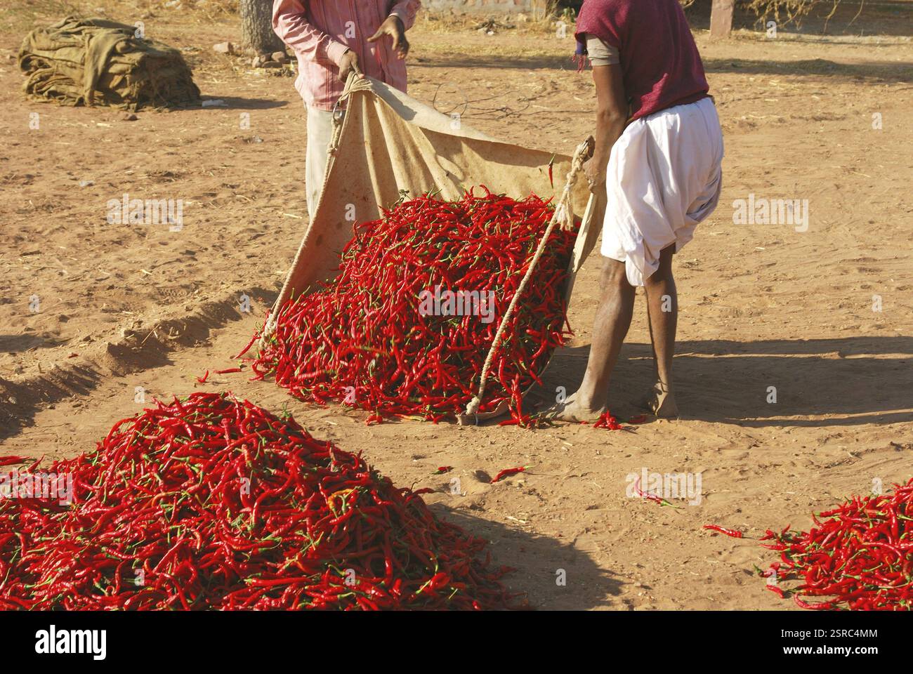 Pouring peppers hi-res stock photography and images - Alamy