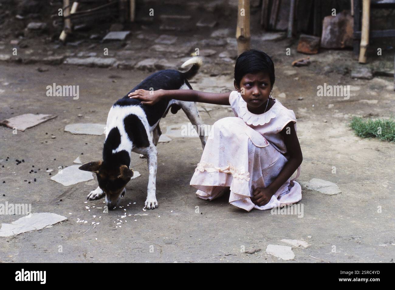 Hansda girl weds Bachan dog, Chinsurah, West Bengal, India, Asia Stock ...
