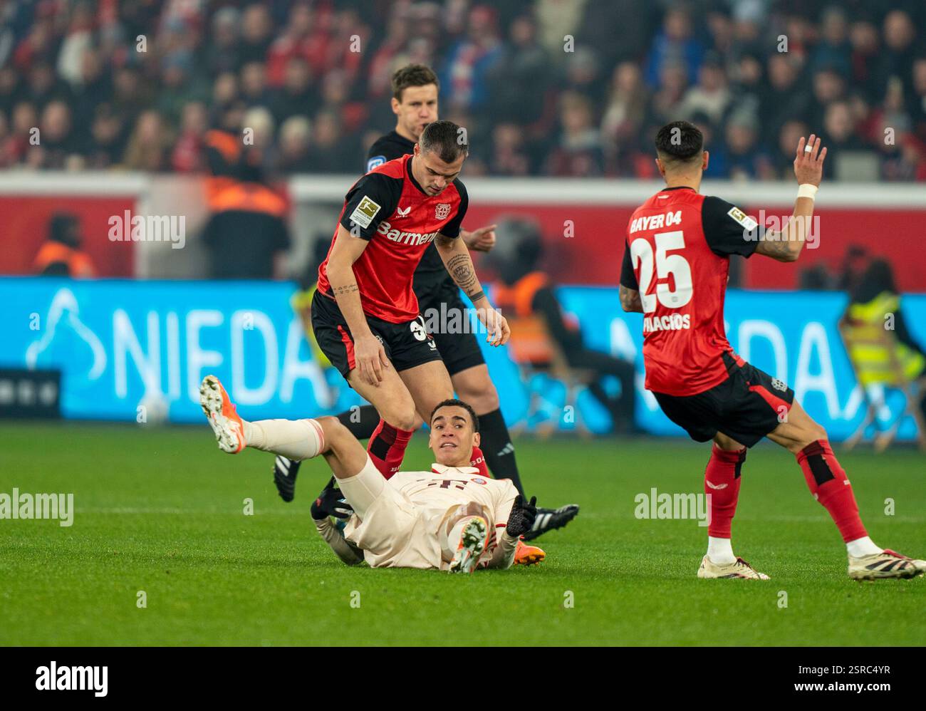 Leverkusen, Deutschland. 15th Feb, 2025. Jamal Musiala (FC Bayern Muenchen, #42) liegt am Boden ...