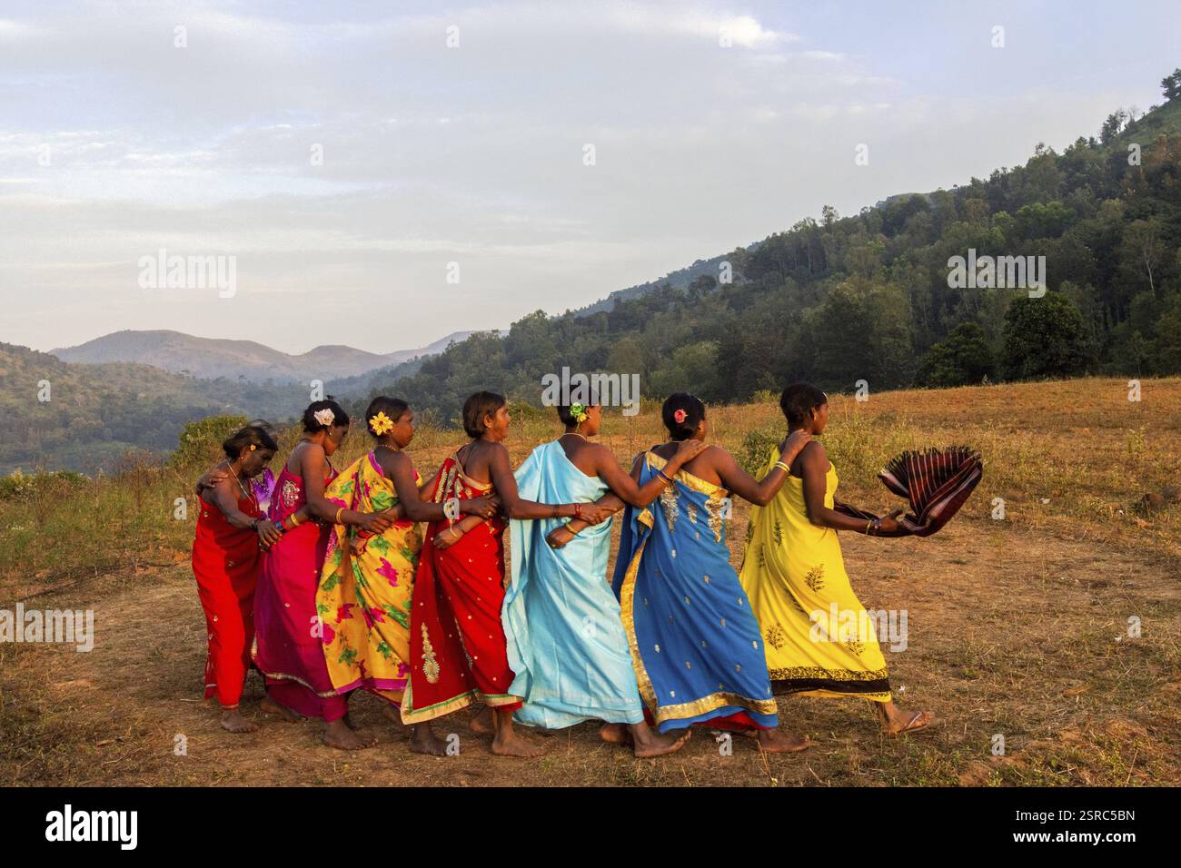 Women performing Dhimsa folk dance, Andhra Pradesh, India, Asia Stock ...
