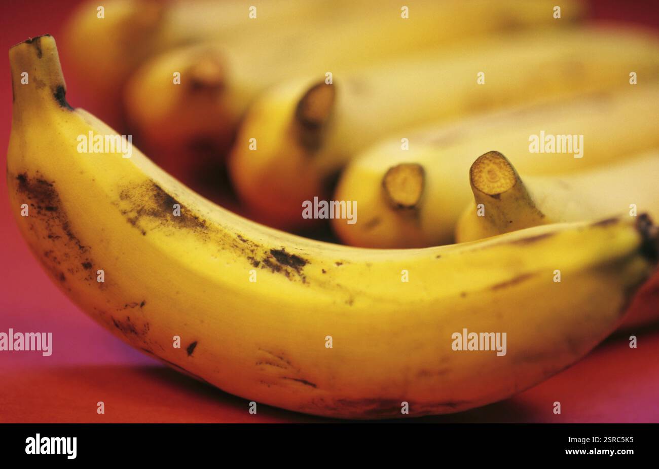 Fruits - Bananas Stock Photo - Alamy