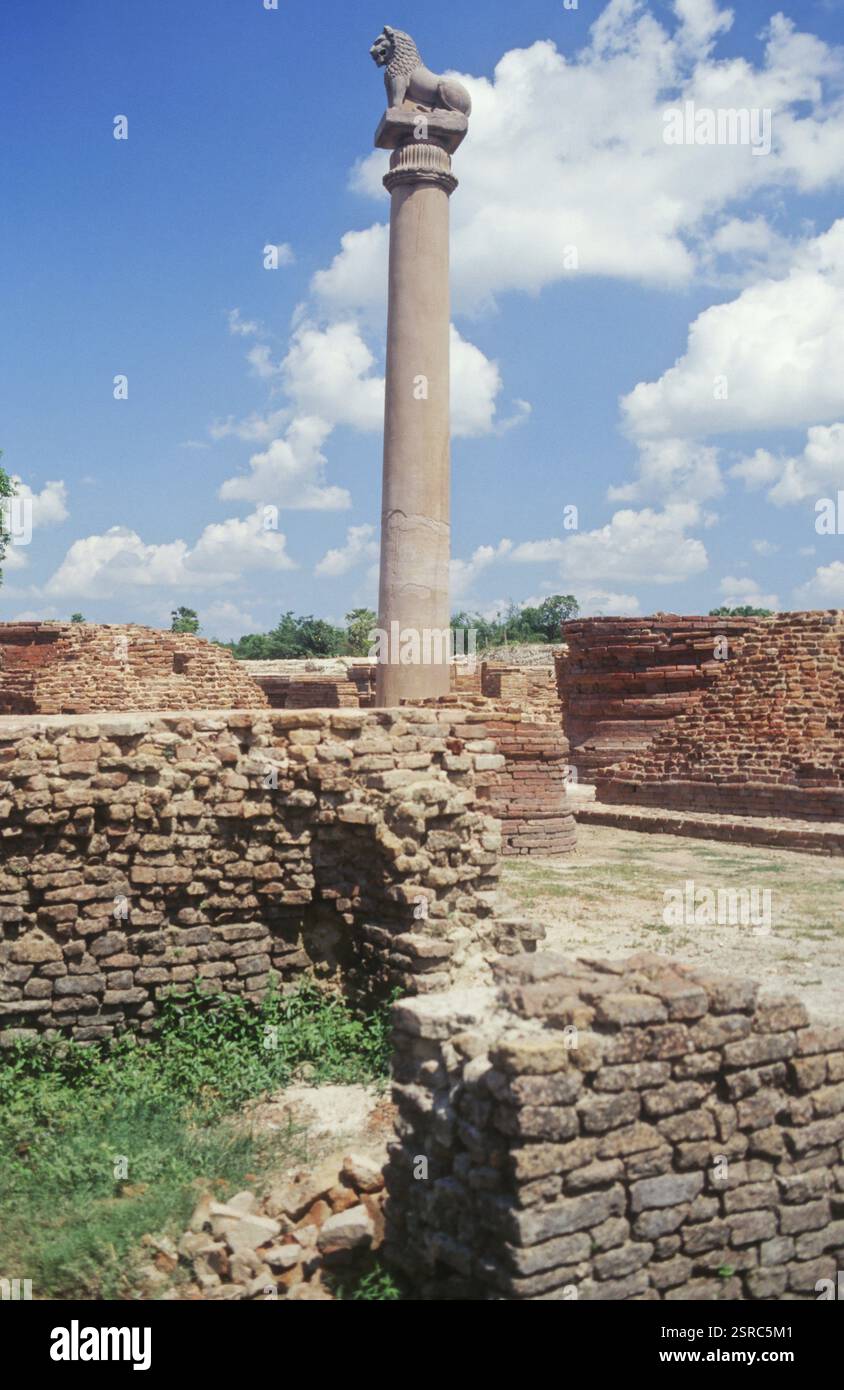 Ashoka Pillar, Vaishali, Bihar, India, Asia Stock Photo - Alamy