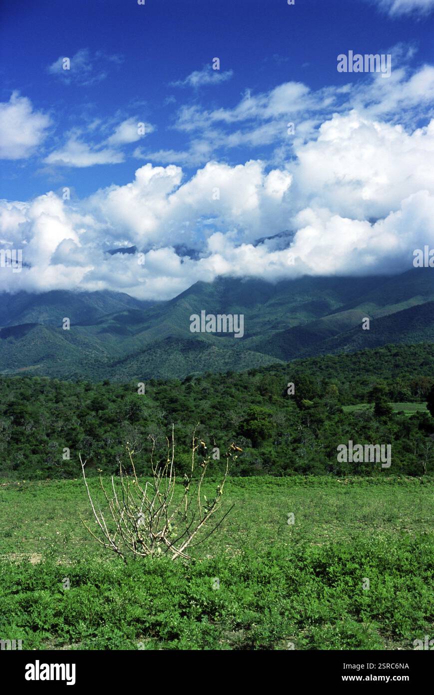 Landscape in Attappadi region, Kerala, Western Ghat, India, Asia Stock ...