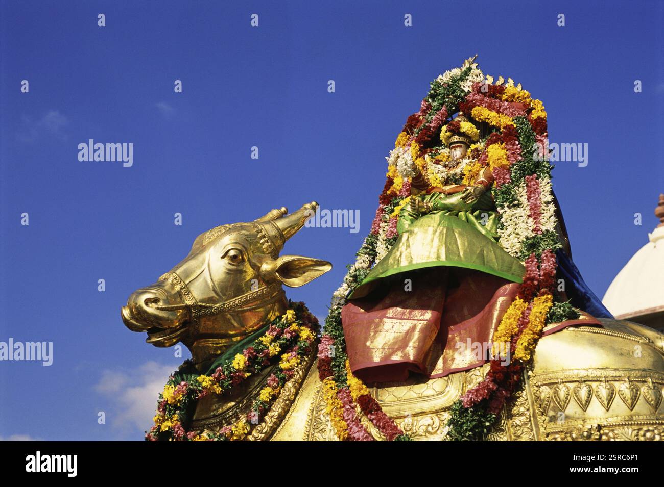 Parvathavardini on rishaba Urchava deity, Ramanathaswamy temple ...