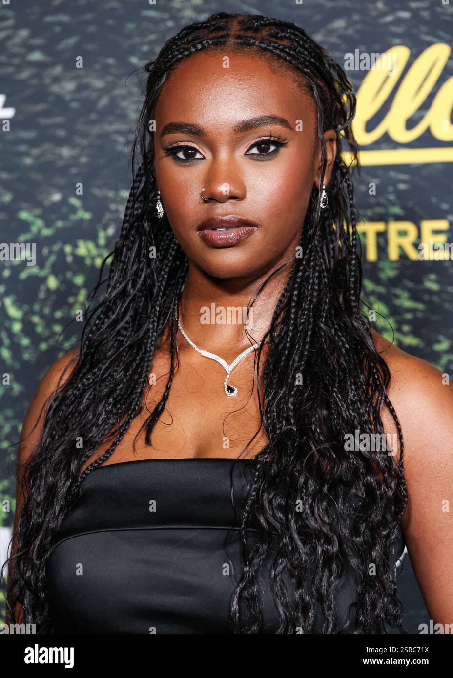 LOS ANGELES, CALIFORNIA, USA - FEBRUARY 13: Nia Sondaya arrives at the ...