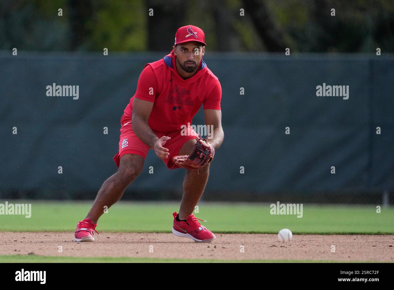 St. Louis Cardinals infielder José Fermín handles a grounder during a ...