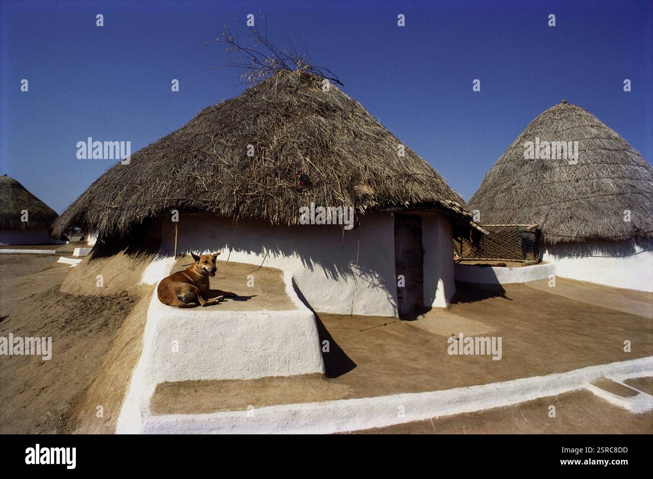Kutch gujarat clay hi-res stock photography and images - Alamy