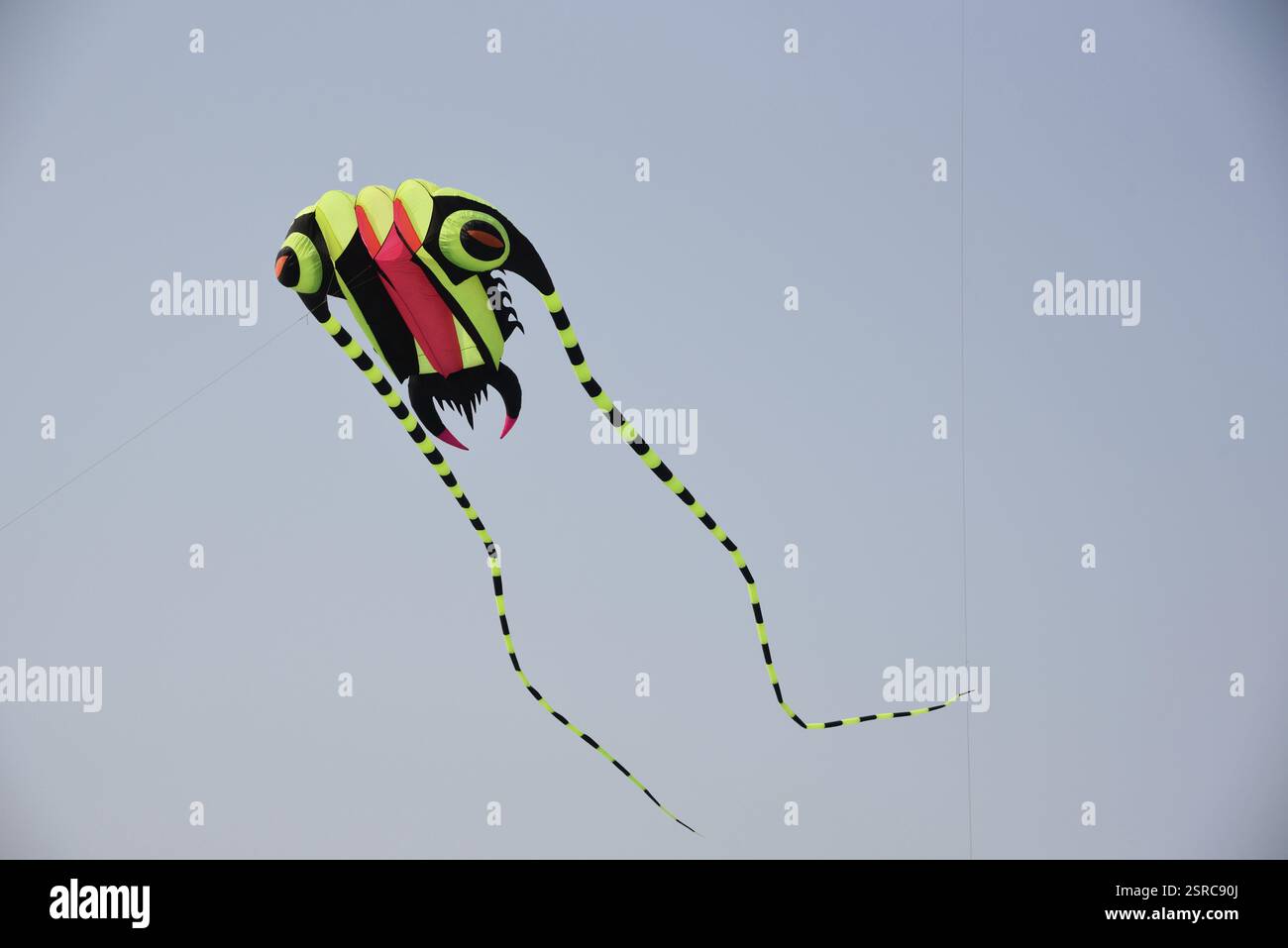 Kite like dragon, International Kite Festival, Tithal, Valsad, Gujarat ...