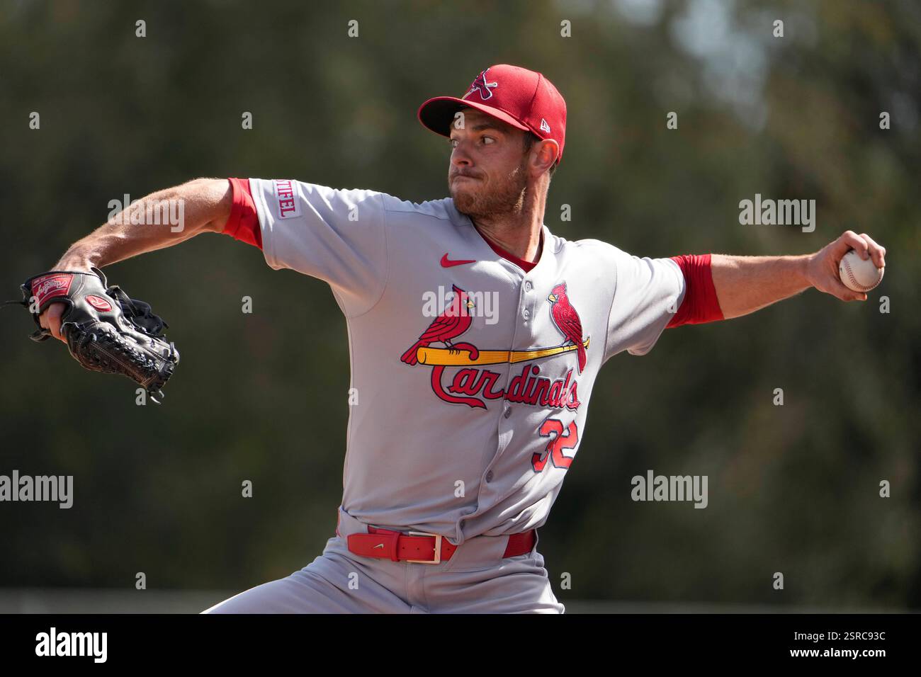 St. Louis Cardinals pitcher Steven Matz throws during a spring training ...