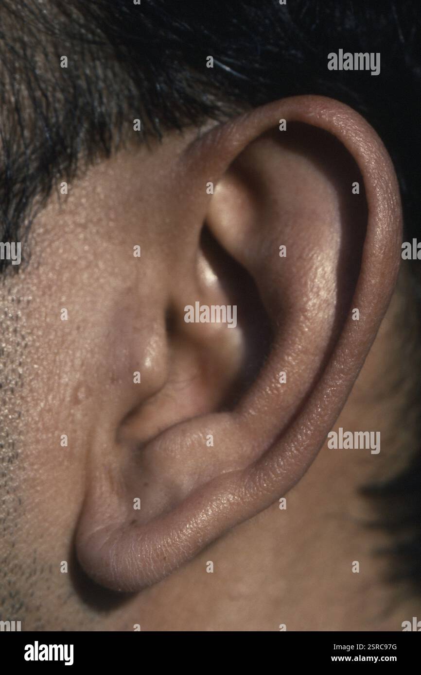 Asian human ear close up hi-res stock photography and images - Alamy