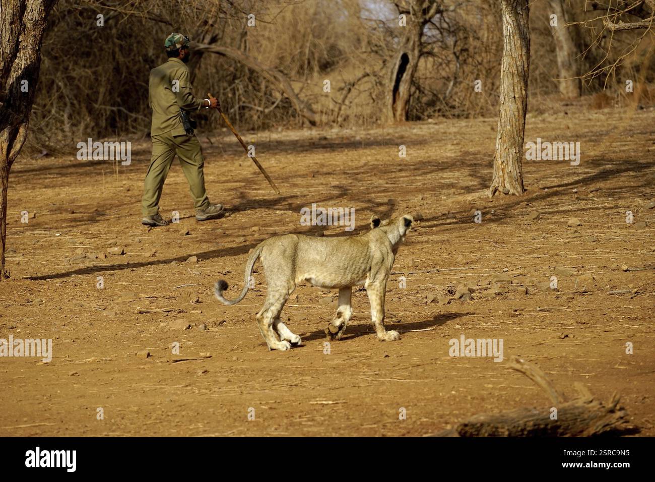 Female forest guard india hi-res stock photography and images - Alamy